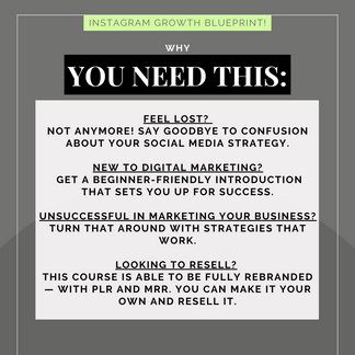 Instagram Growth Blueprint | Mini Masterclass – Love Marketing Team, LLC